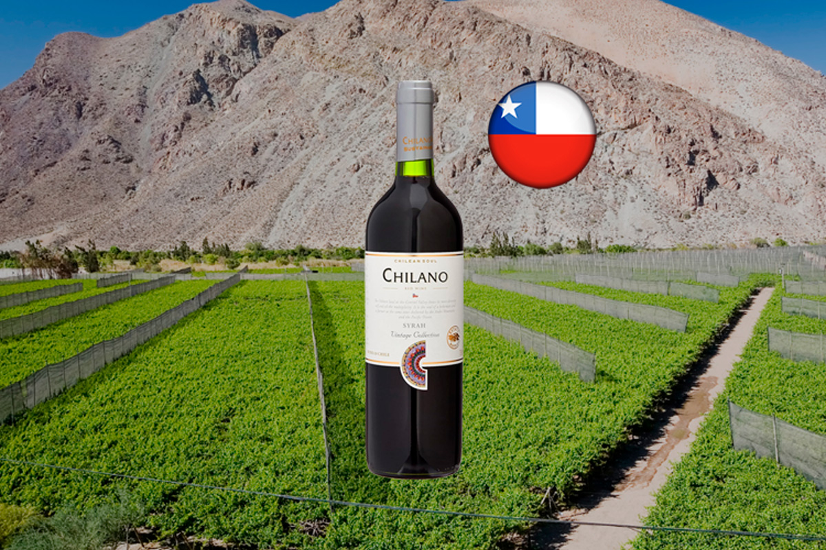 Chilano Syrah Vintage Collection - Vinho tinto chileno | Center Gourmet ...