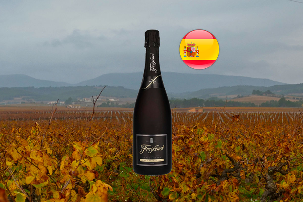 Espumante Freixenet Cava Cordon Negro Brut - Espumante espanhol ...