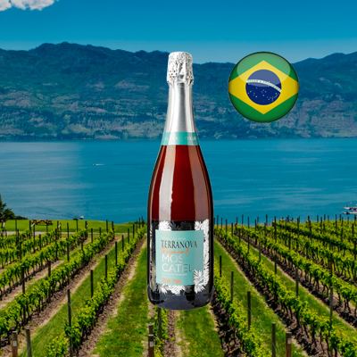 Espumante Fantinel Ribolla Gialla Extra Brut | Center Gourmet Vinhos e ...