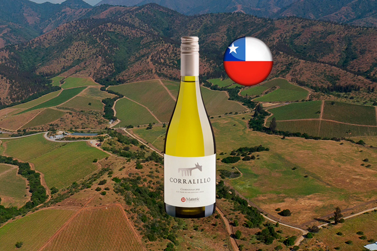 Matetic Corralillo Chardonnay 2019 - Vinho branco chileno | Center ...