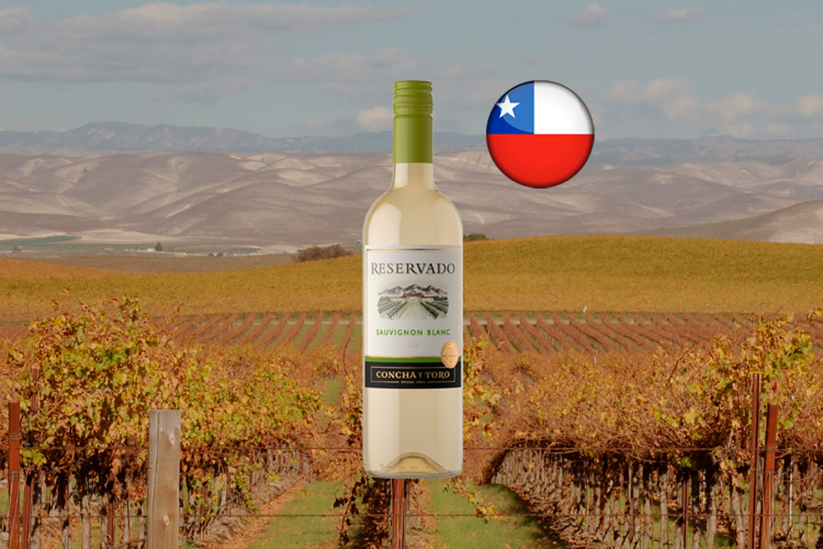 Reservado Sauvignon Blanc - Vinho branco chileno | Center Gourmet ...