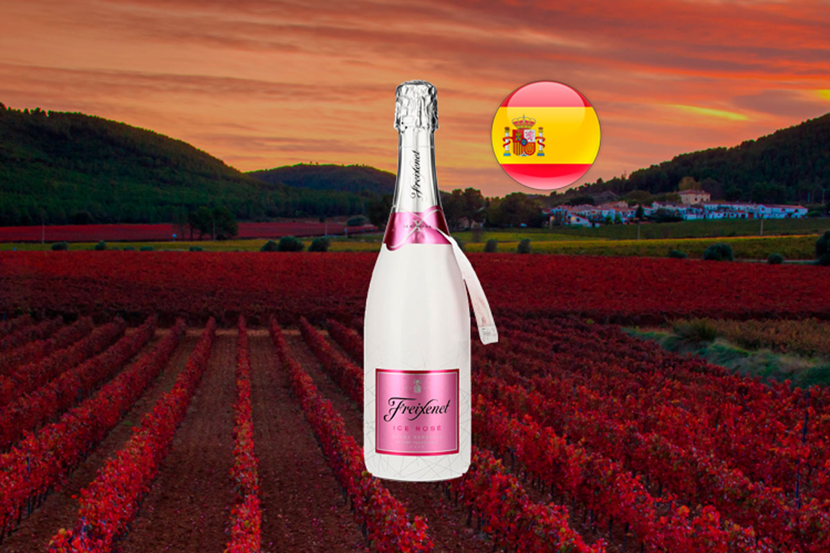 Espumante Freixenet Cava Ice Rosé Demi-Sec - Espumante rosé espanhol ...