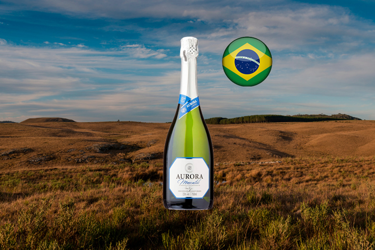 Espumante Aurora Moscatel Branco - Espumante brasileiro | Center ...