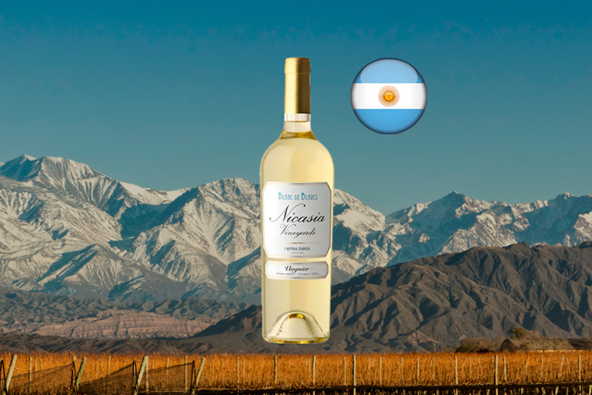 Nicasia Vineyards Blanc De Blancs 2019 - Vinho branco argentino | Center Gourmet Vinhos e ...