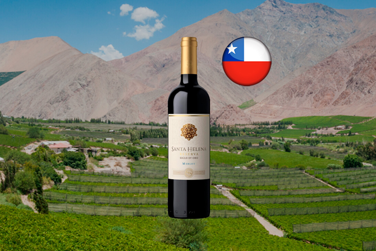Santa Helena Reserva Siglo de Oro Merlot - Vinho tinto chileno | Center ...