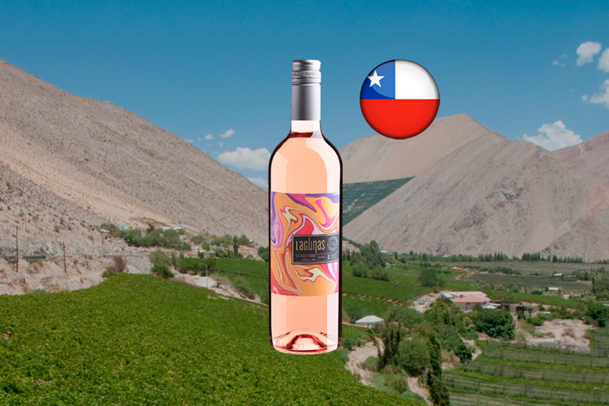 Lagunas Carménère Rosé Valle Central DO 2023 - Vinho rosé chileno ...