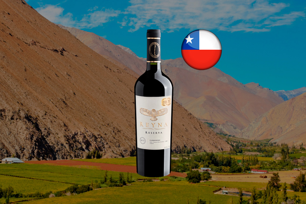 Reyna Reserva Carmenere Valle del Rapel DO 2022 - Vinho tinto chileno ...