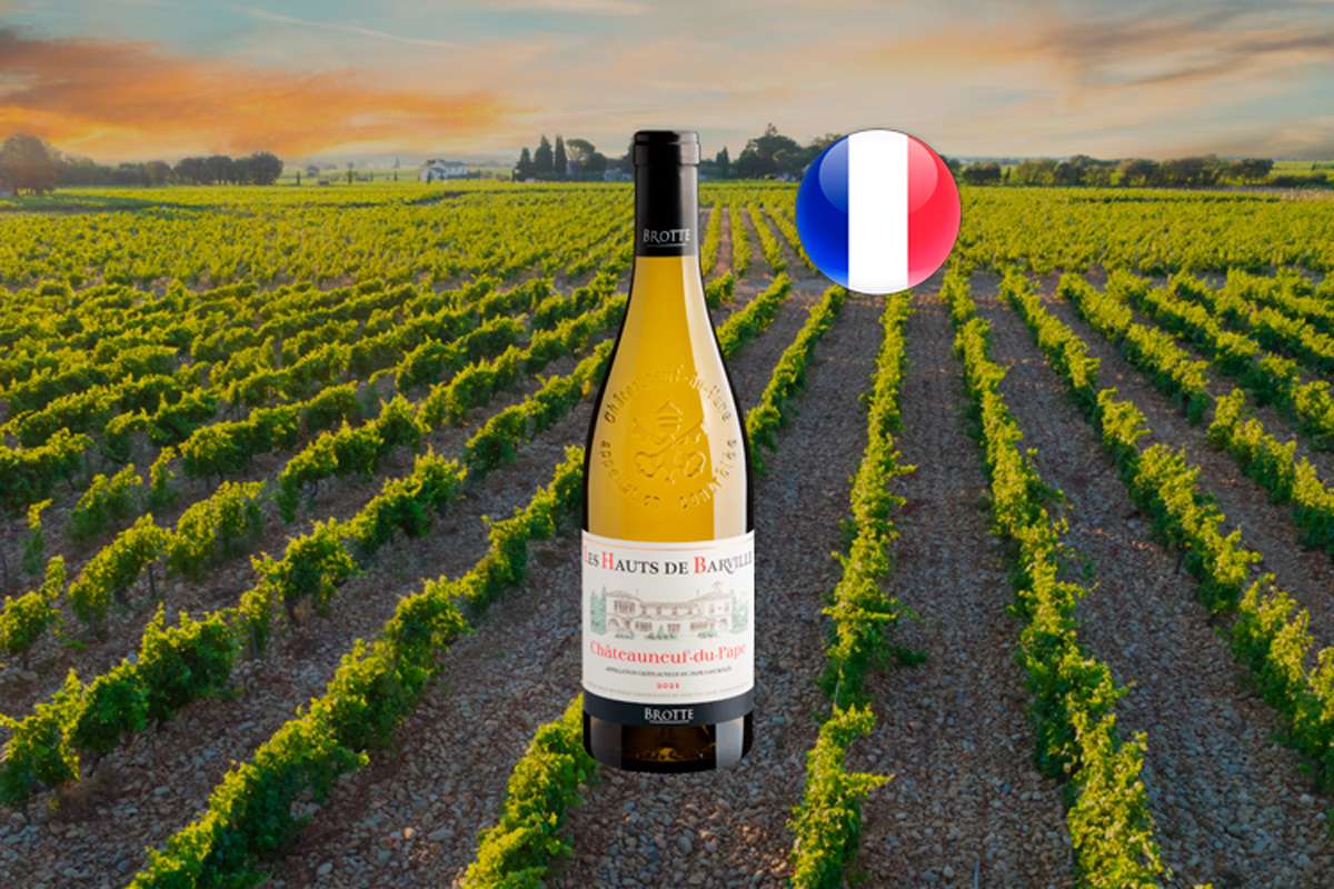 Maison Brotte Les Hauts de Barville Châteauneuf-Du-Pape AOC 2021 - Vinho branco francês | Center ...
