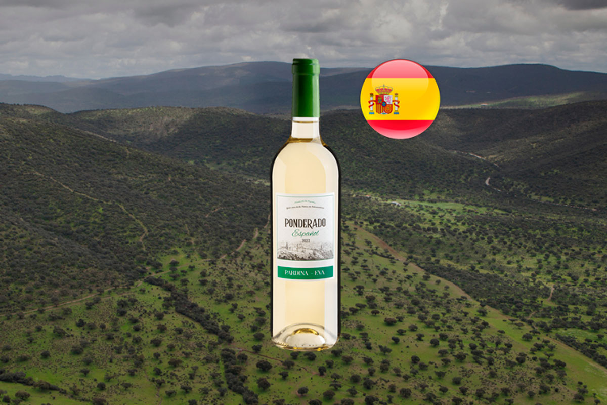 Ponderado Pardina-Eva 2022 - Vinho branco espanhol | Center Gourmet ...