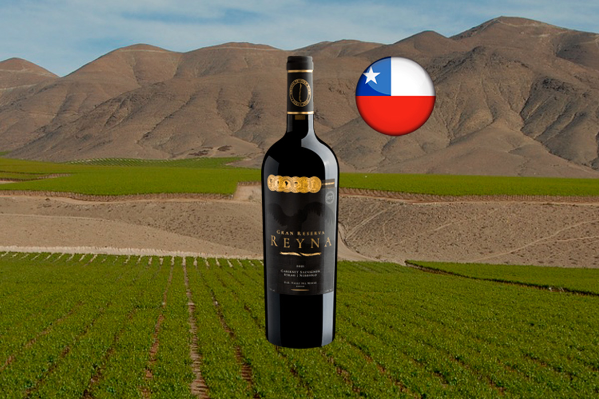 Reyna Gran Reserva Cabernet Sauvignon Syrah Nebbiolo Valle del Maule DO ...