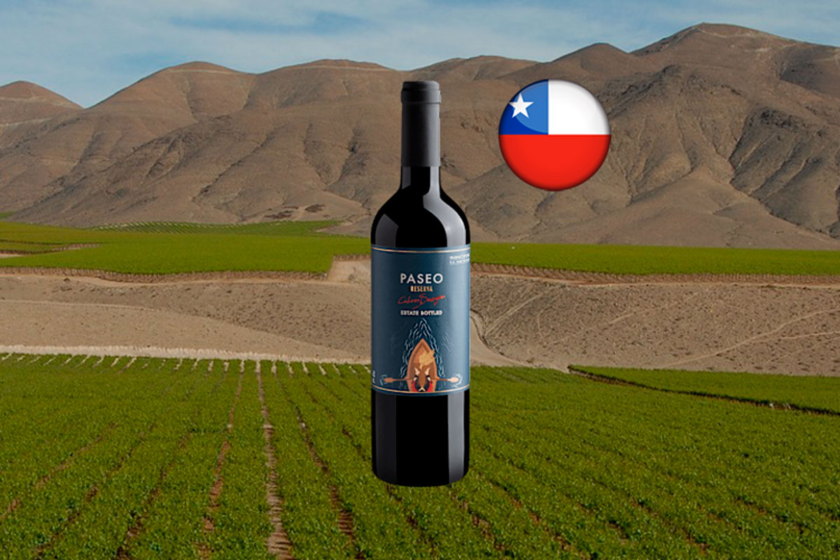 Paseo Reserva Cabernet Sauvignon Valle del Maule DO 2019 - Vinho tinto ...