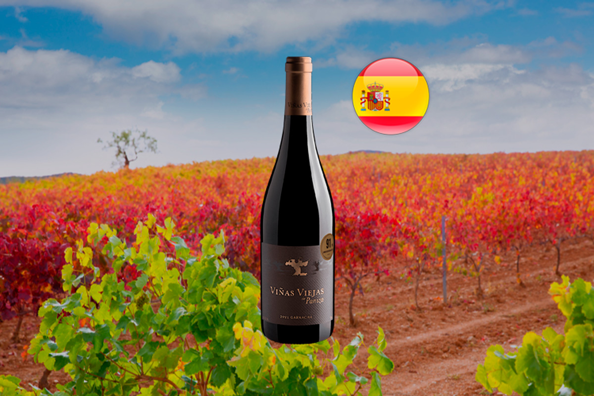 Viñas Viejas de Paniza Garnacha Cariñena DOP 2021 - Vinho tinto espanhol | Center Gourmet Vinhos ...