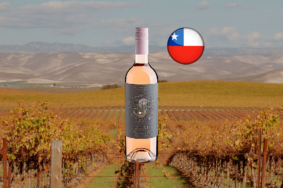 Dual Merlot Rosé Valle Central DO 2024 - Vinho rosé chileno | Center ...
