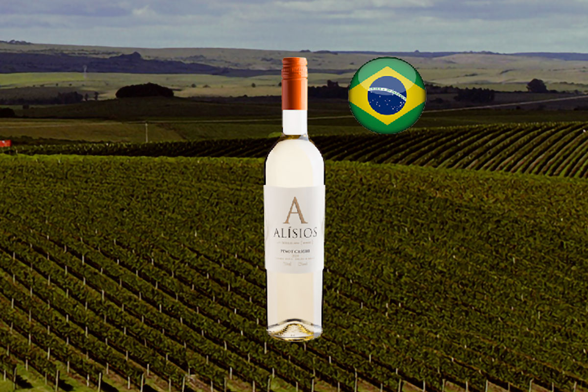Alísios Pinot Grigio 2024 - Vinho branco brasileiro | Center Gourmet ...