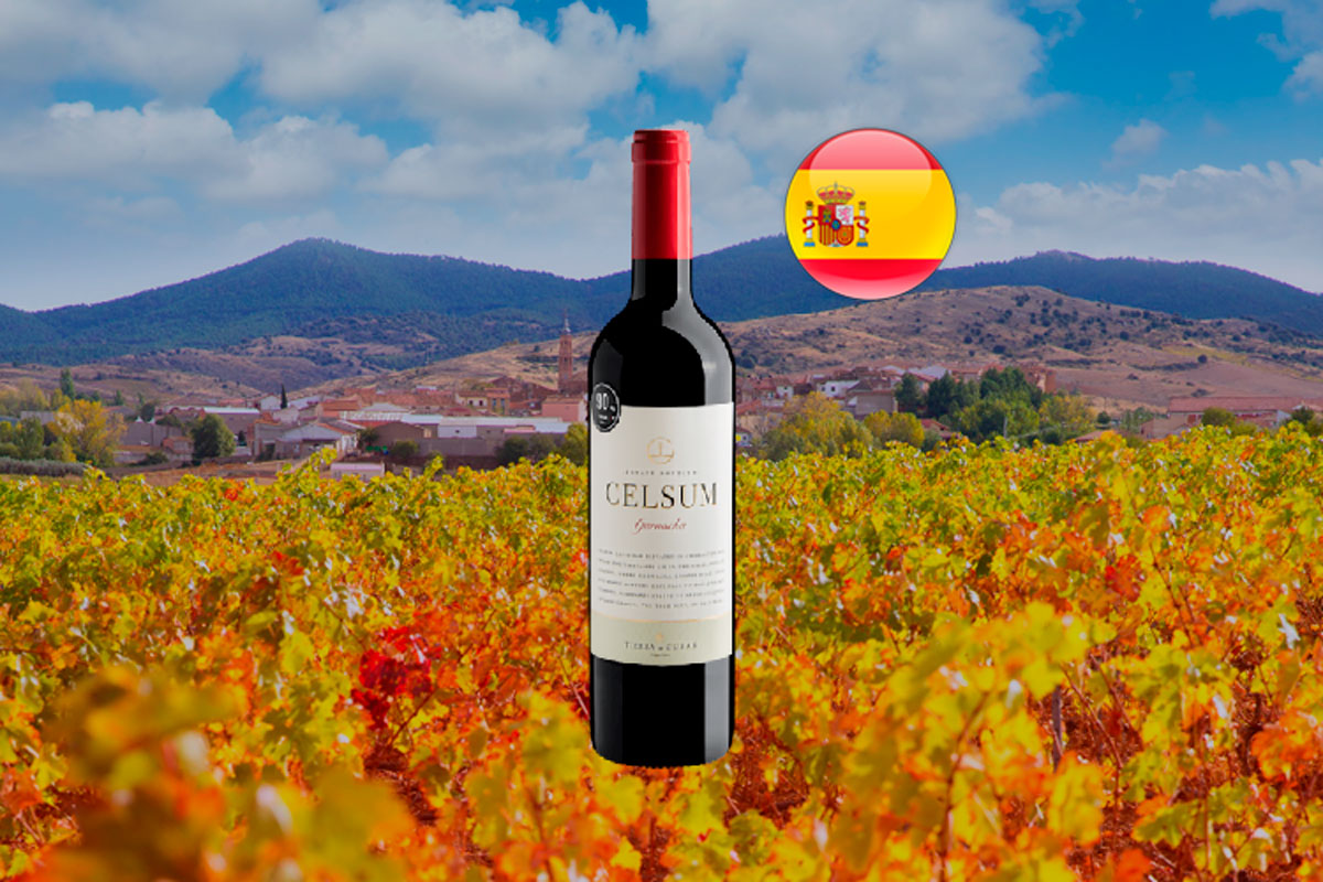 Celsum Garnacha Cariñena DOP - Vinho tinto espanhol | Center Gourmet ...