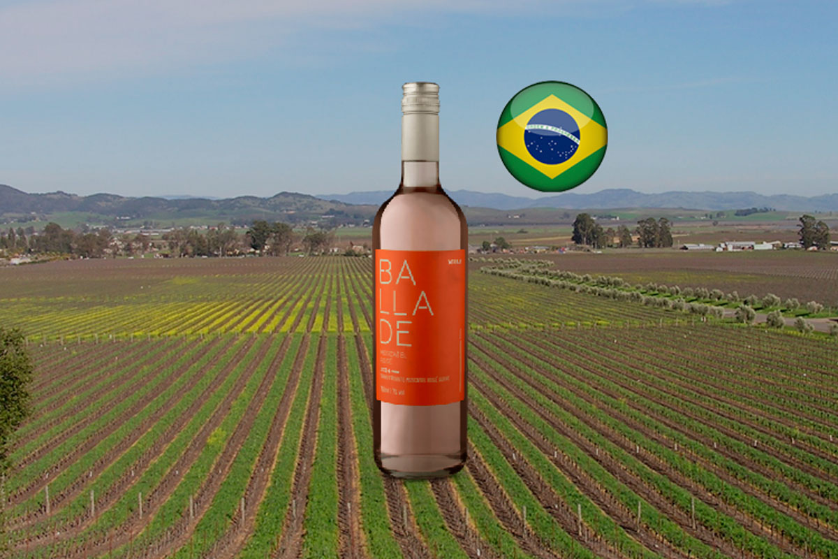 Frisante Ballade Rosé 2024 - Frisante brasileiro | Center Gourmet ...