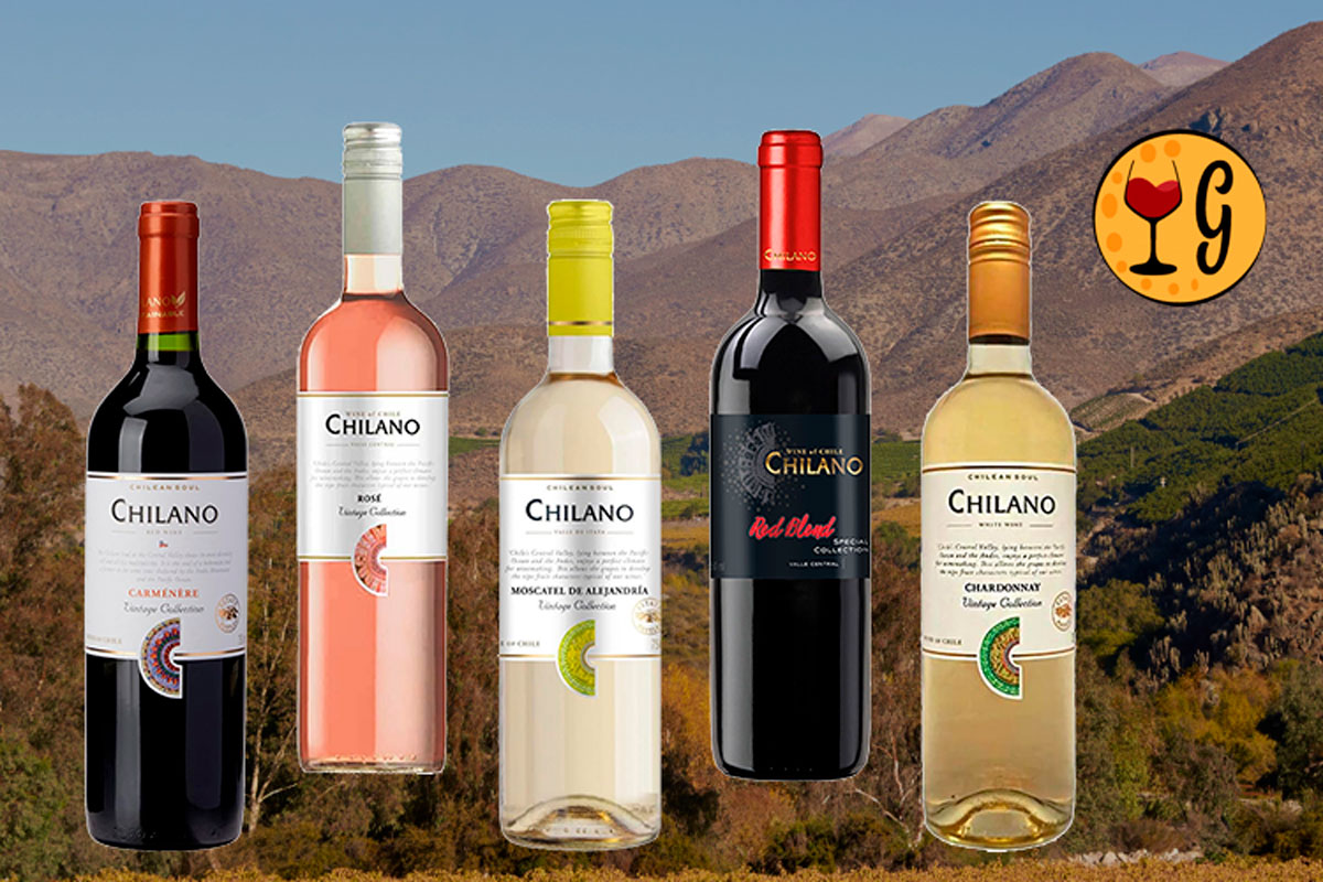 Vinho Chilano: A Linha que Traduz a Alma dos Vinhos do Chile | Center ...