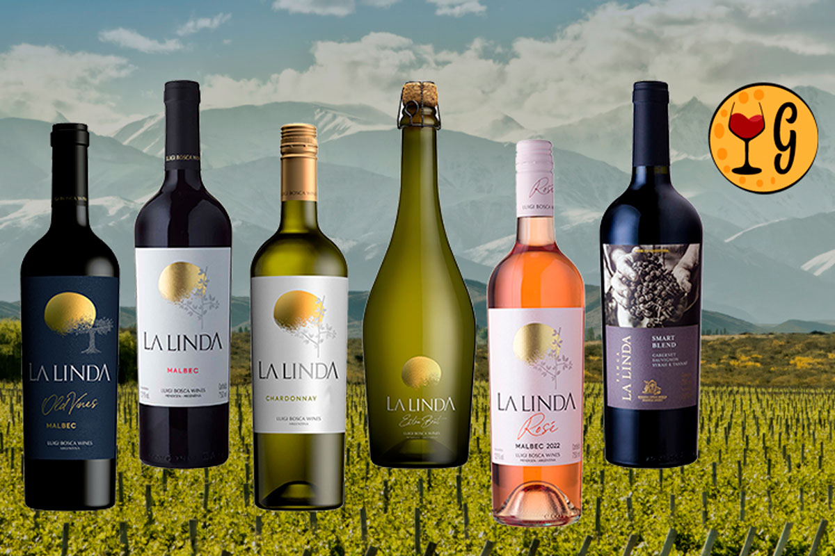 Vinho La Linda: Explore a Sofisticação dos Rótulos da Luigi Bosca ...
