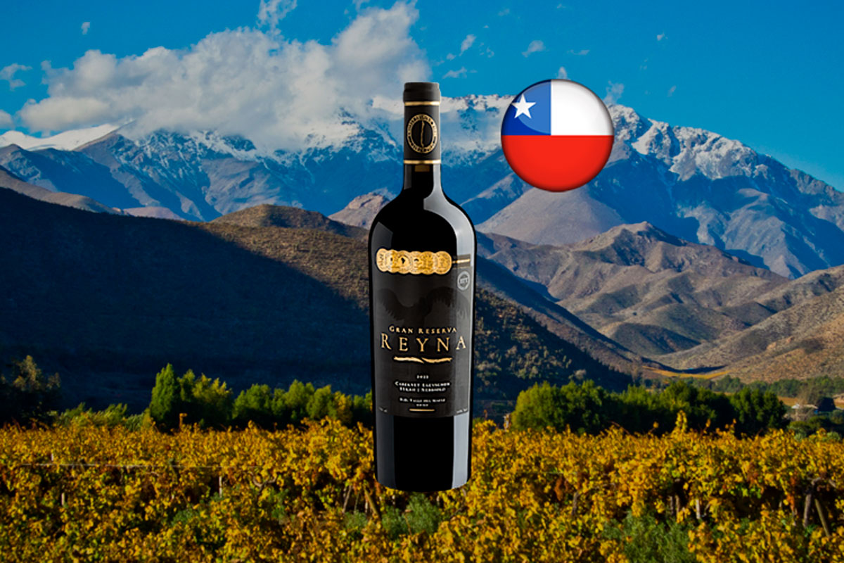 Reyna Gran Reserva Cabernet Sauvignon Syrah Nebbiolo Valle del Maule DO ...