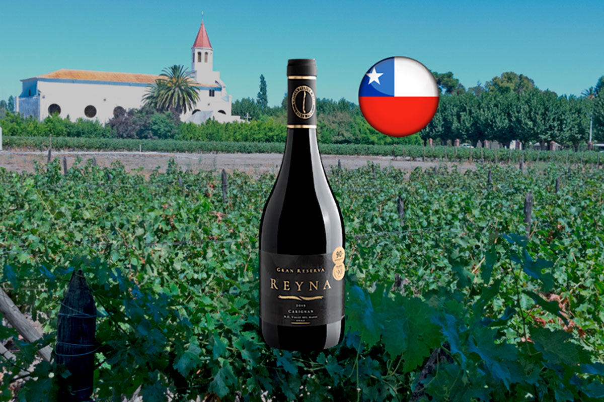 Reyna Gran Reserva Carignan Valle del Maule DO 2019 - Vinho tinto ...