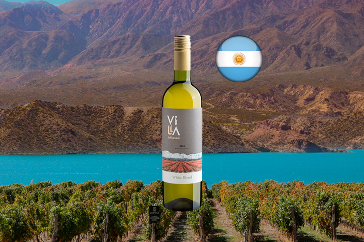 Villa del Nevado White Blend 2024 - Vinho branco argentino | Center ...