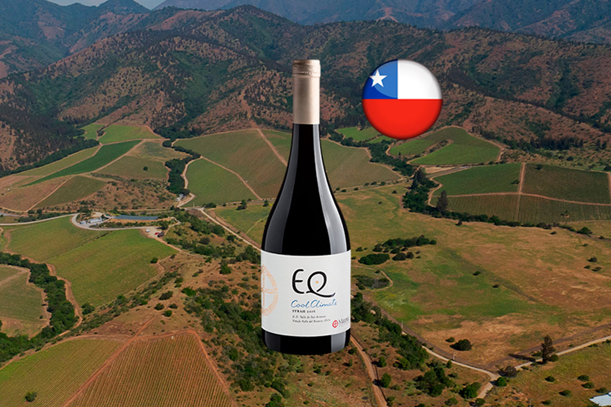 Matetic EQ Syrah 2016 - Vinho tinto chileno | Center Gourmet Vinhos e ...