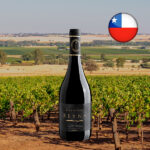 Reyna Gran Reserva Garnacha Syrah Carignan Valle del Maule DO 2022 ...
