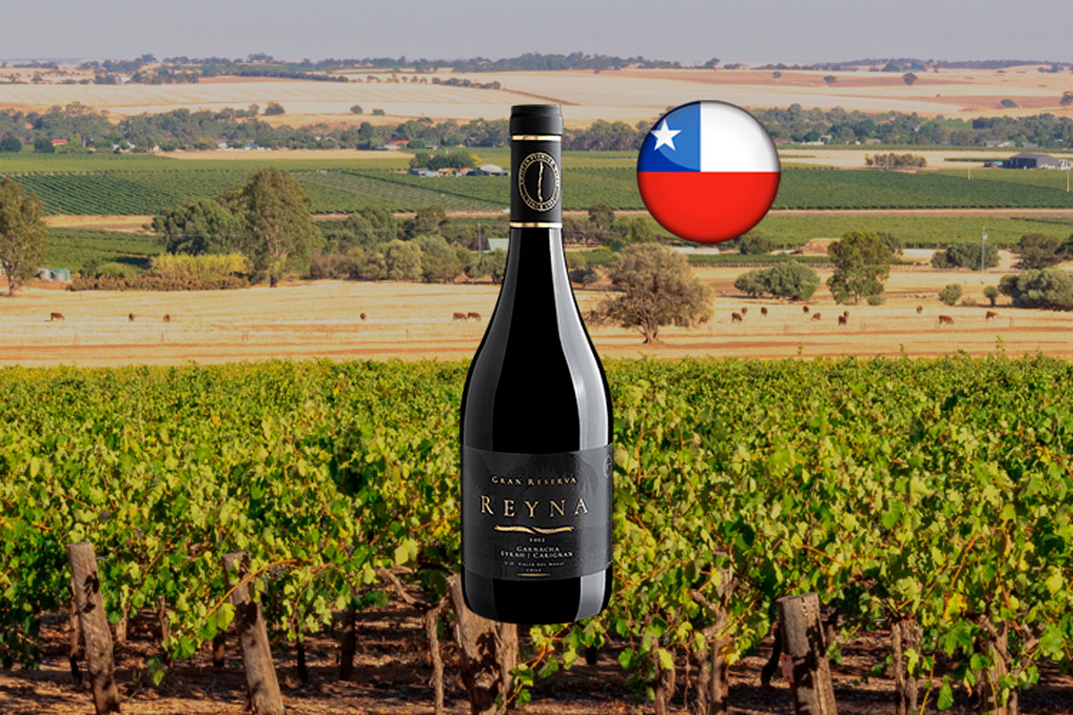 Reyna Gran Reserva Garnacha Syrah Carignan Valle del Maule DO 2022 ...