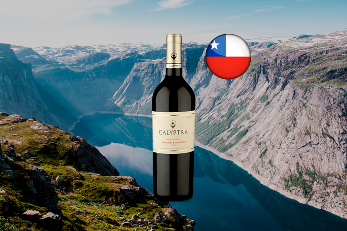 Calyptra Gran Reserva DO Cachapoal Valley Cabernet Sauvignon 2020 ...