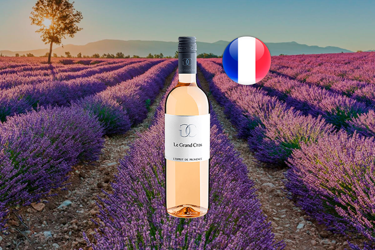 Le Grand Cros L'Esprit de Provence Côtes de Provence AOP 2022 - Vinho ...