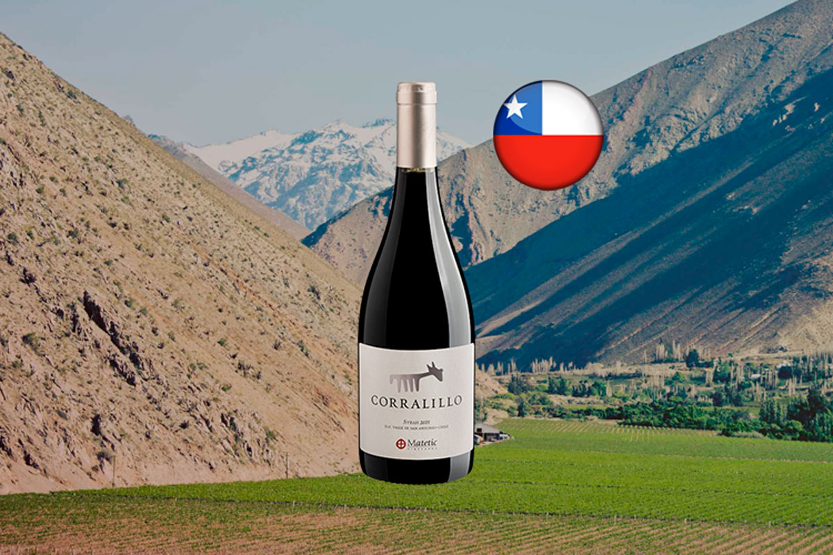 Matetic Corralillo Syrah Valle de San Antonio DO 2021 - Vinho tinto ...