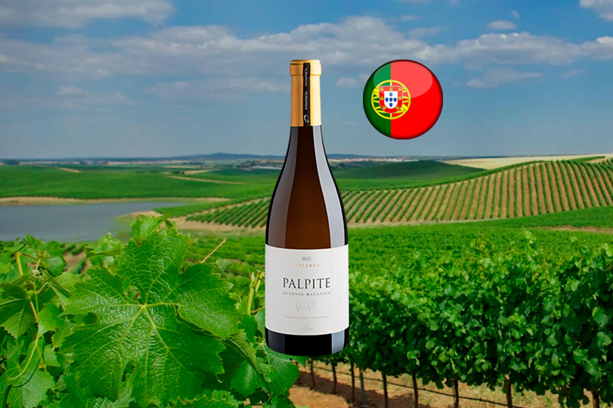 António Maçanita Palpite Reserva Alentejano 2021 - Vinho branco ...