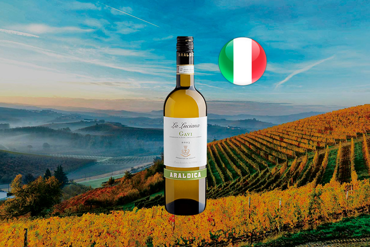 Araldica La Luciana Gavi DOCG 2023 - Vinho branco italiano | Center ...