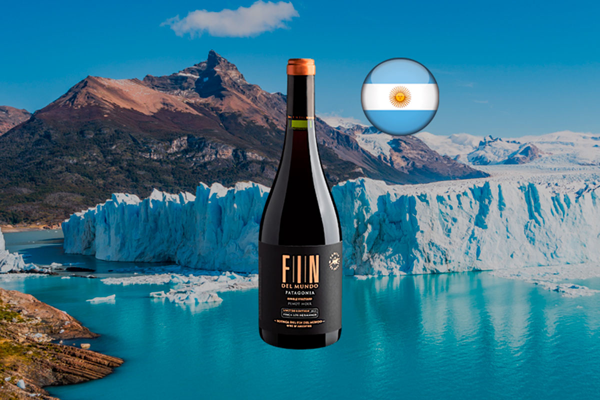 Fin Del Mundo Patagonia Single Vineyard Pinot Noir Limited Edition ...