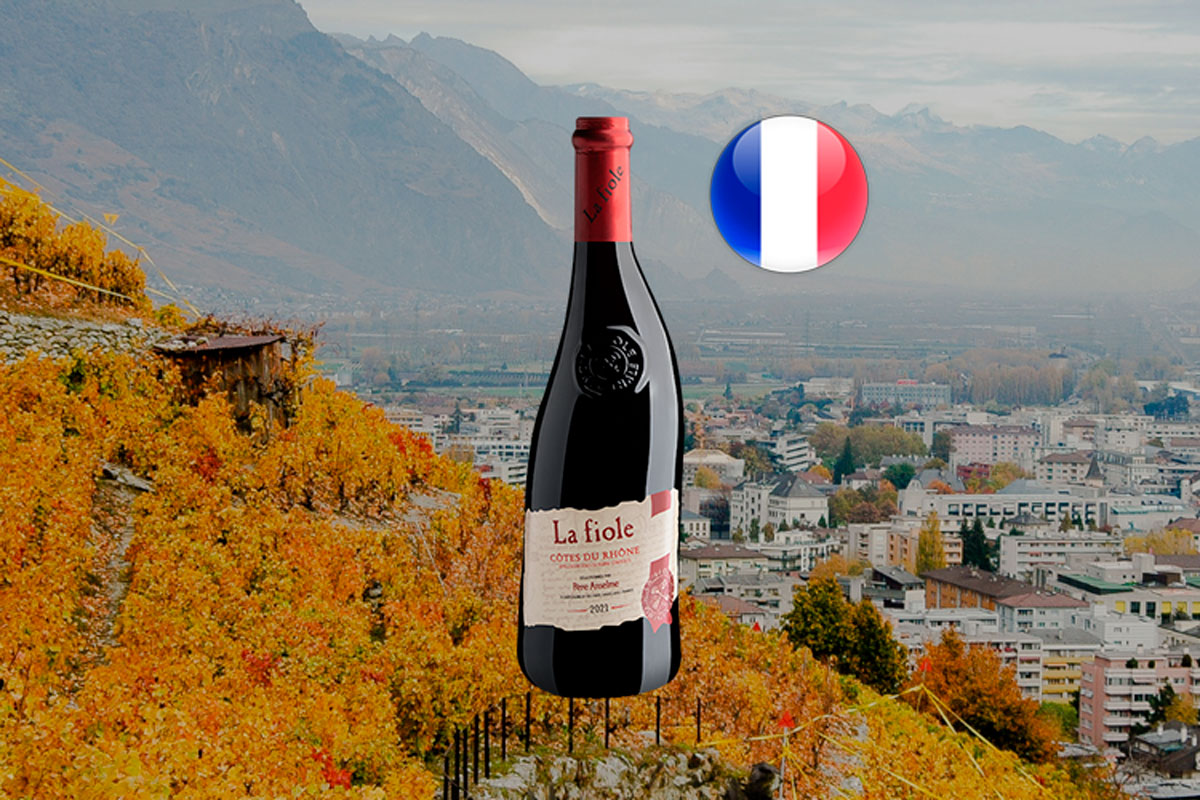 Maison Brotte La Fiole Côtes Du Rhône 2021 - Vinho tinto francês ...