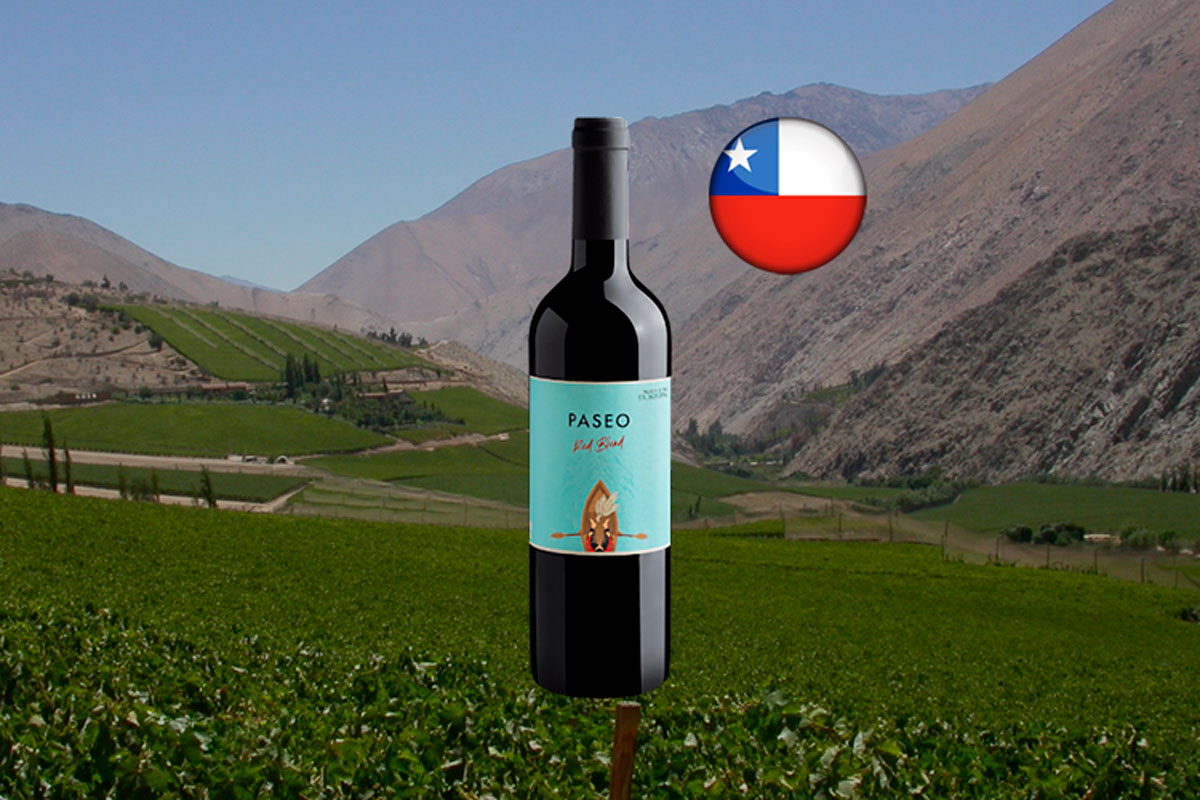 Paseo Red Blend Valle Central DO 2023 - Vinho tinto chileno | Center Gourmet Vinhos e ...