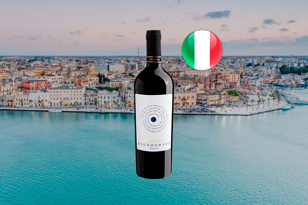Domodo Negroamaro IGP Puglia 2020 - Vinho tinto italiano | Center ...