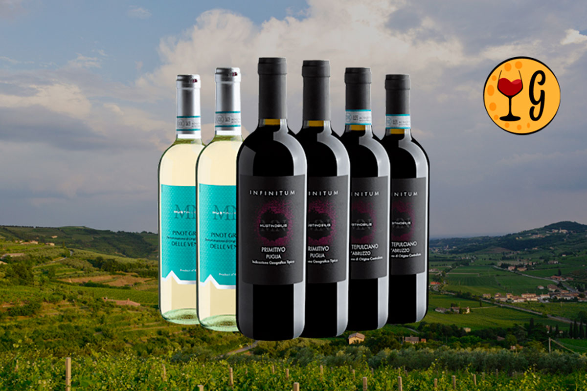 Kit de Vinhos Italianos Infinitum - 2x Primitivo, 2x Montepulciano e 2x ...