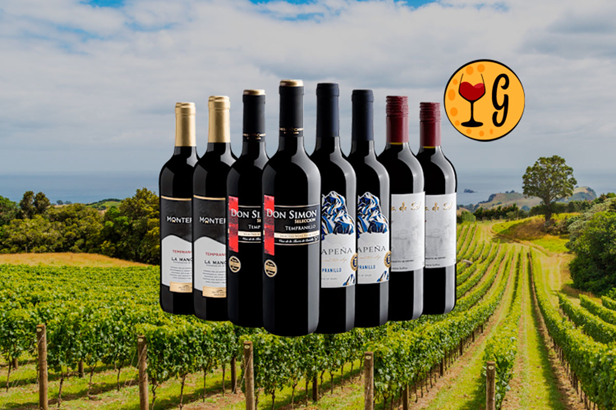 Kit de Vinhos Tempranillo Exclusivo - 8 garrafas | Center Gourmet ...