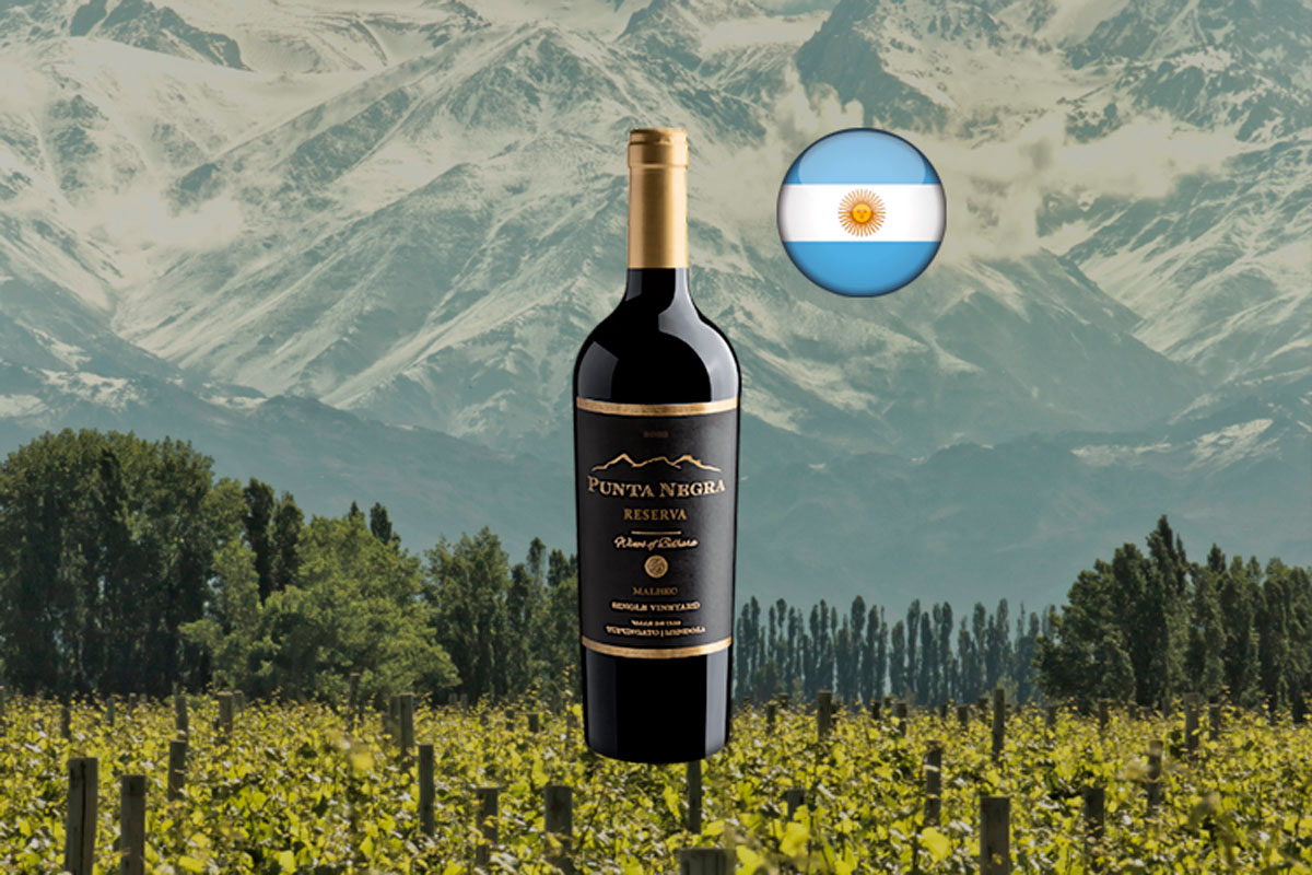 Punta Negra Reserva Malbec Single Vineyard 2023 - Vinho tinto argentino | Center Gourmet Vinhos ...