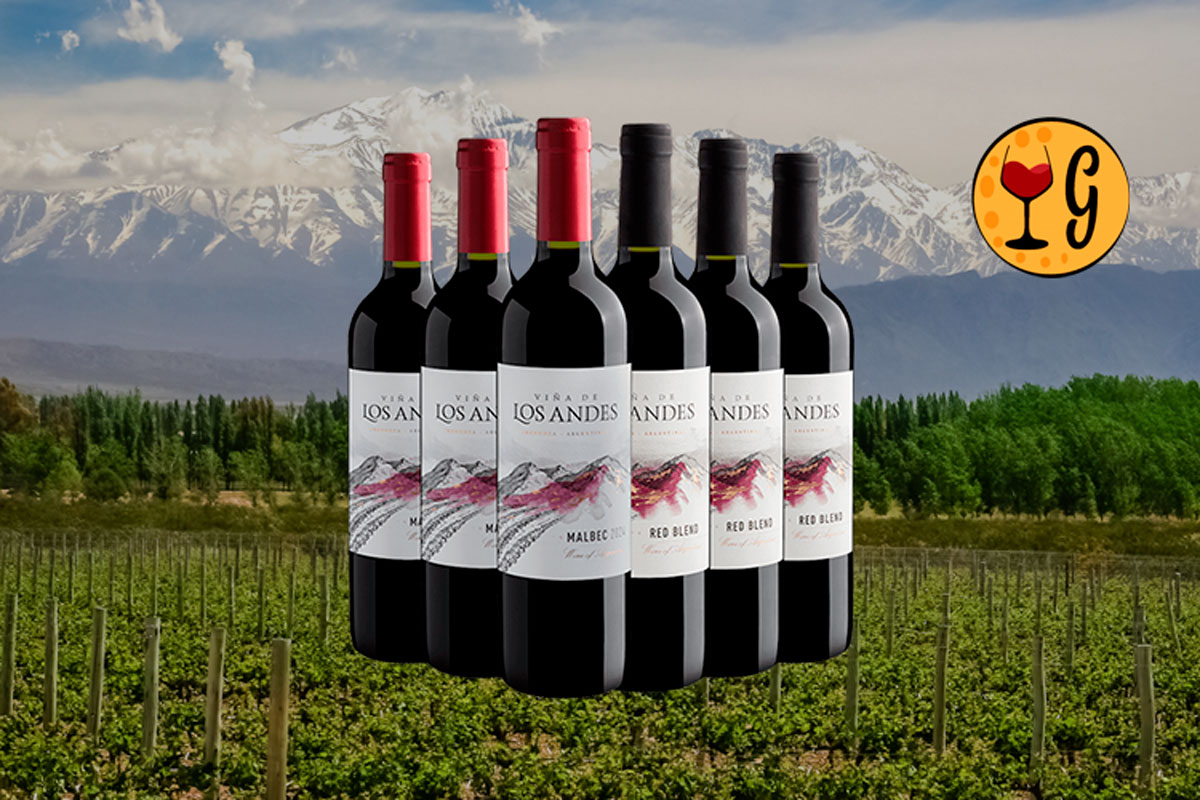 Kit Viña de Los Andes 3 Malbec e 3 Red Blend – Qualidade de Mendoza a ...