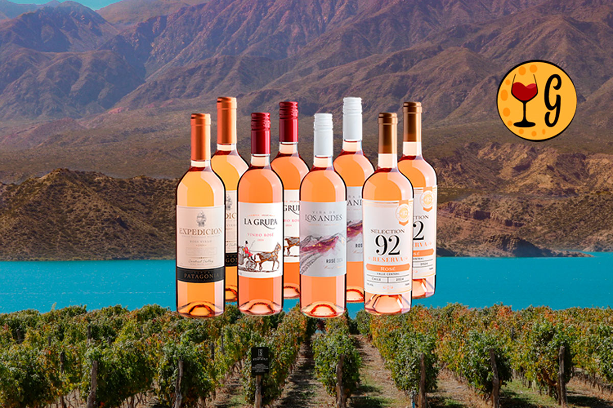 Kit Vinhos Rosé Quatro Rótulos Irresistíveis – 8 garrafas para momentos ...