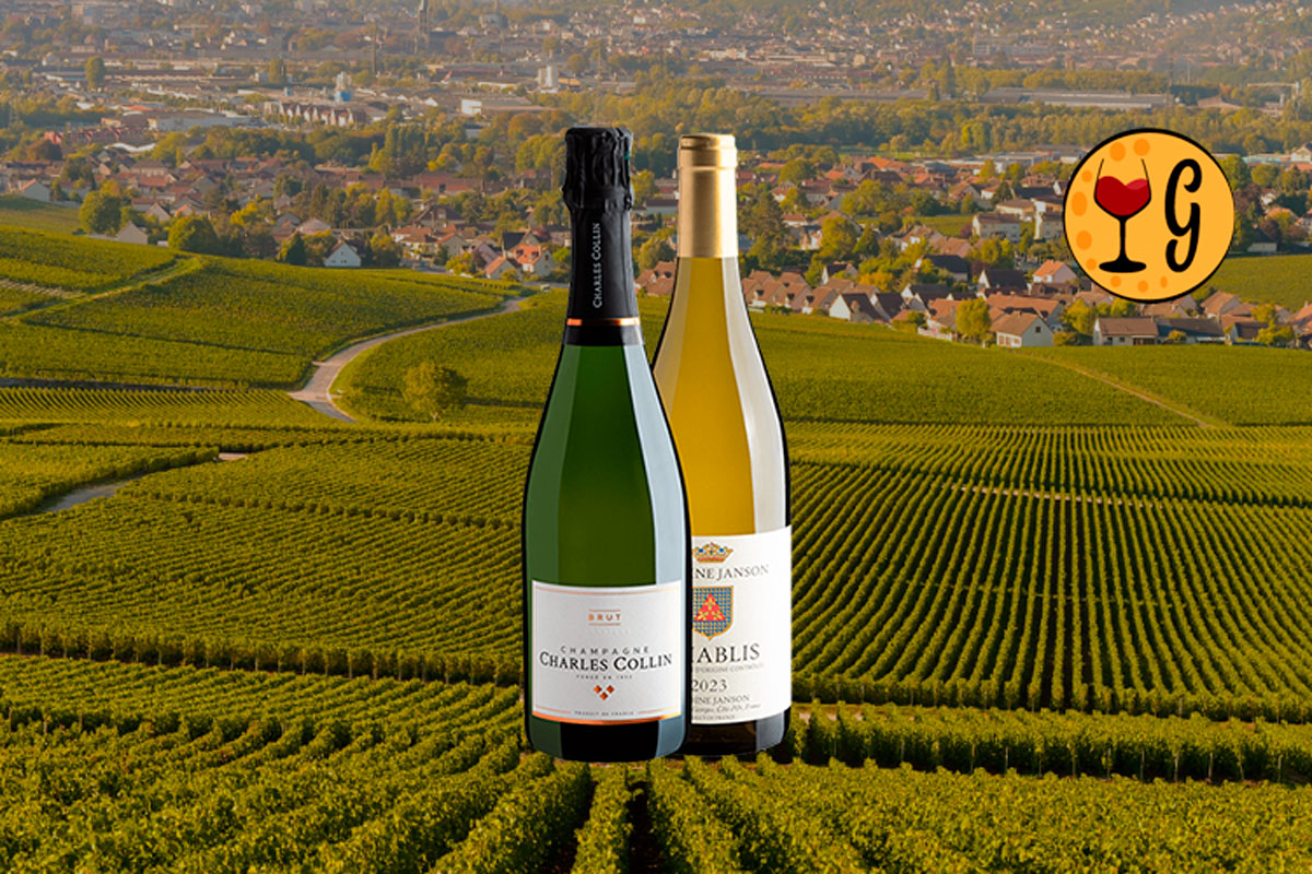 Kit de Vinhos Franceses Premium - Champagne & Chablis para uma ...