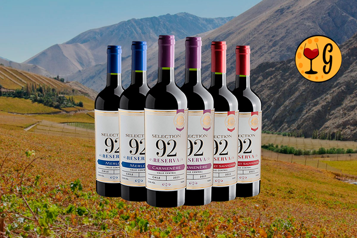 Kit de Vinhos Selection 92 - 3 Tintos de 92 Pontos para Encantar seu ...