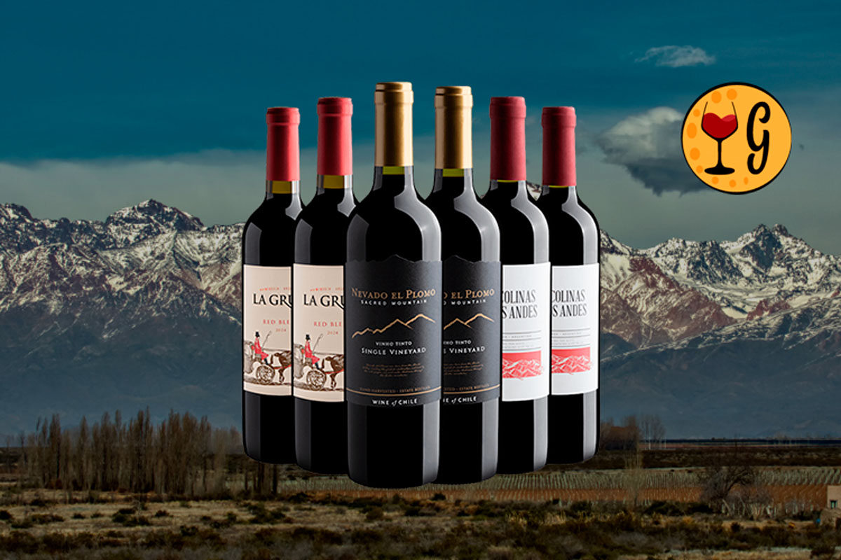 Kit 6 Vinhos do Novo Mundo – Chile e Argentina a Preço Imperdível ...