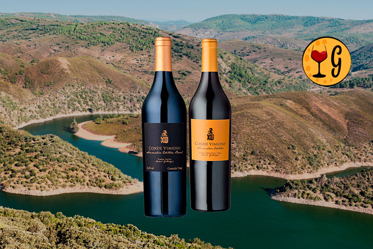 Kit Encontro Luso-Brasileiro Falua – Dois Tintos Sommelier Edition ...