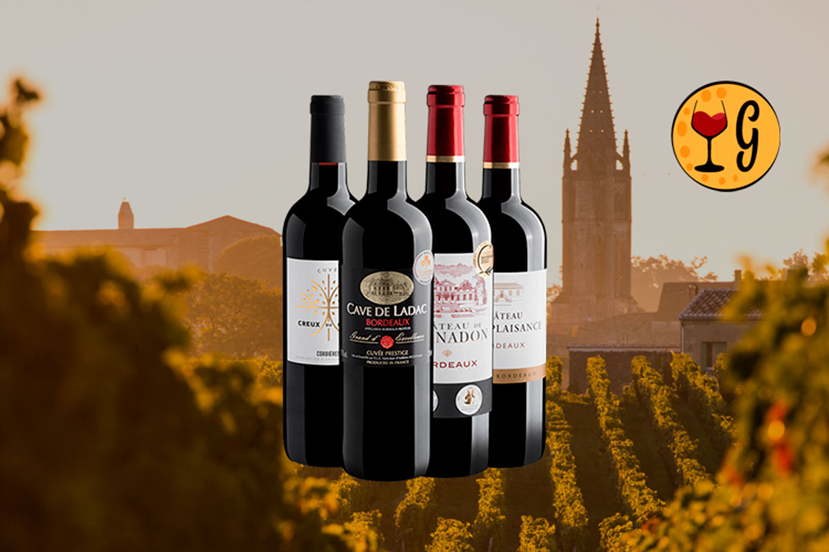 Kit Expressões da França – Quatro Vinhos Tintos Franceses de Destaque a ...