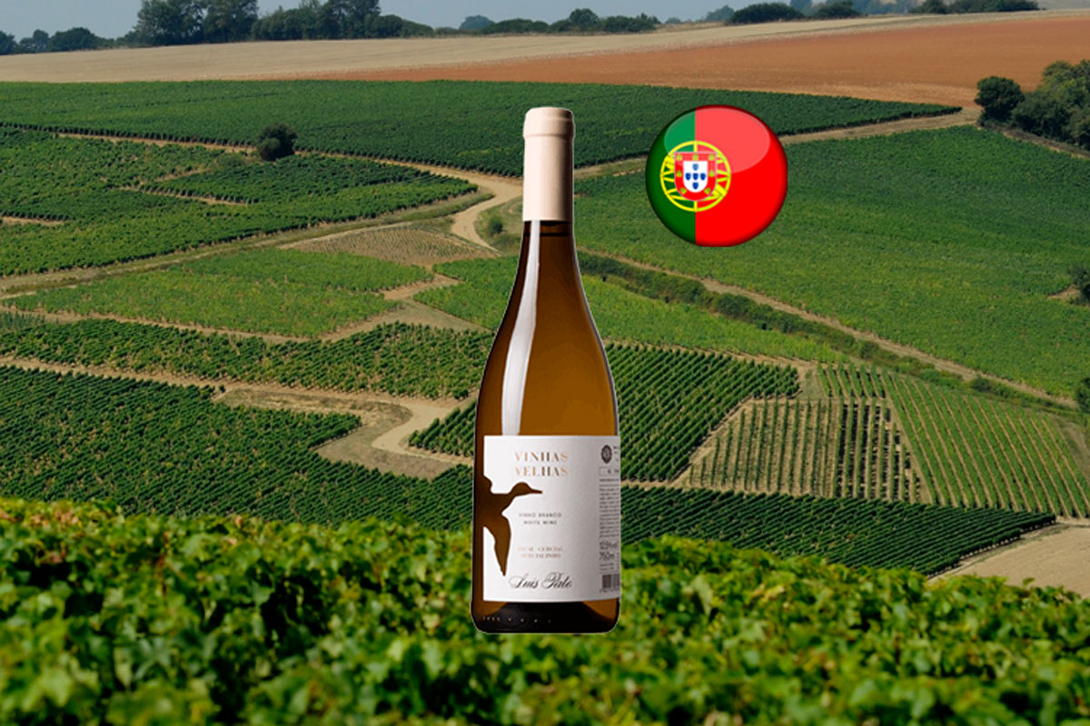 Luis Pato Vinhas Velhas Branco 2023 - Vinho branco português | Center ...