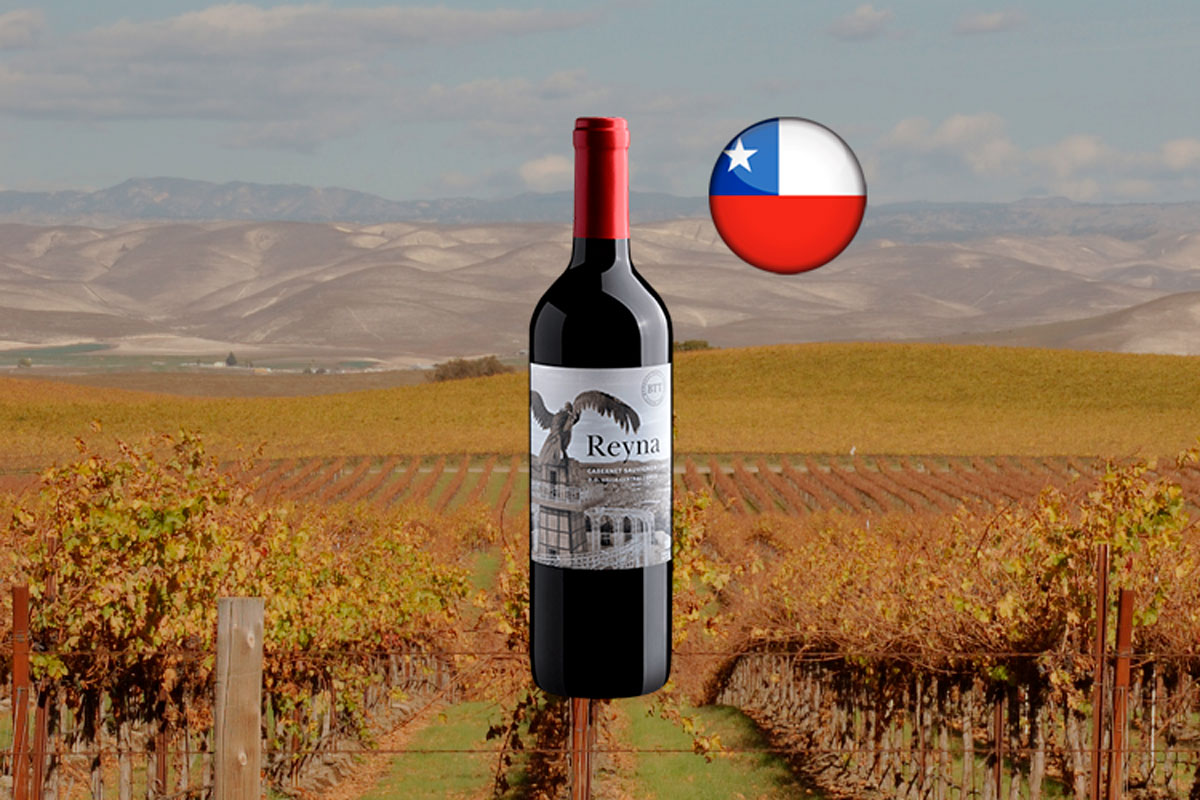 Reyna Cabernet Sauvignon Central Valley DO 2023 - Vinho tinto chileno ...