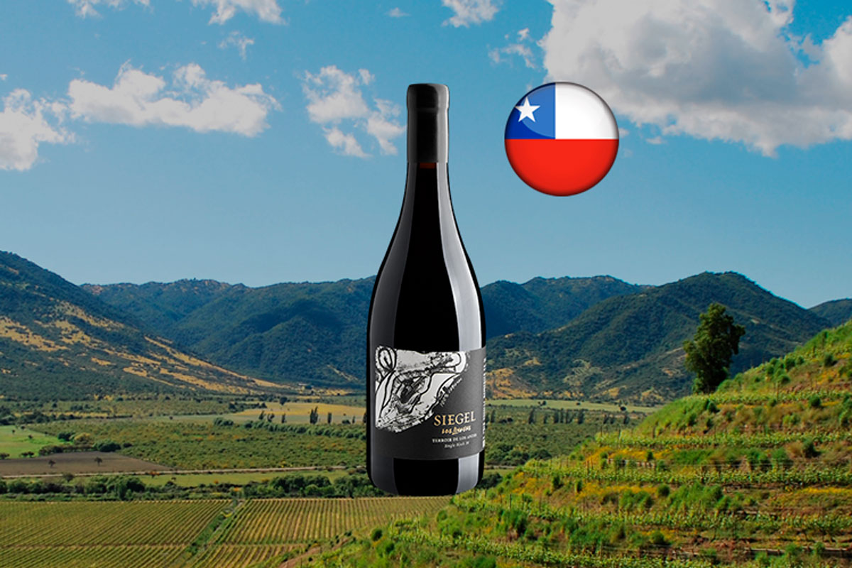 Siegel Los Lingues Carignan Terroir de Los Andes Single Block 38 2022 ...